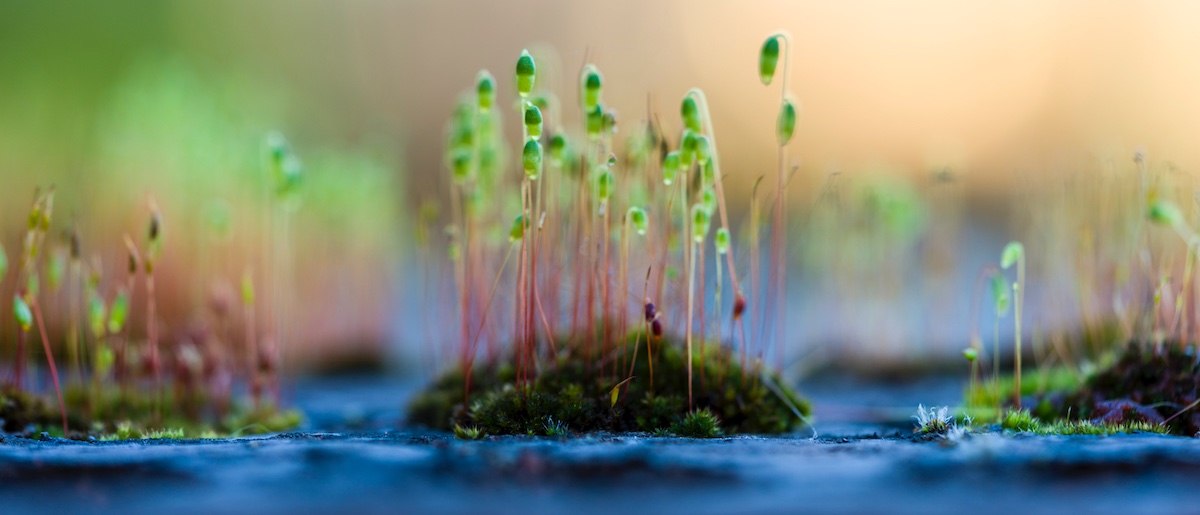 HOPE FOR A NEW BEGINNING | St Benedict's Parish, Ealing